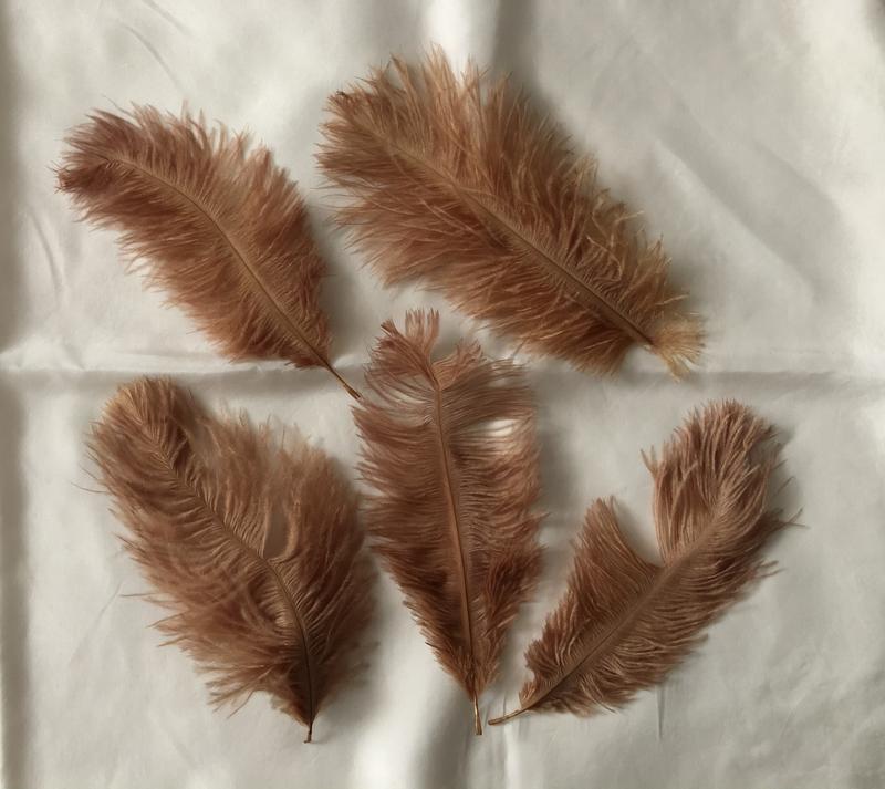 Піря страуса нюдовый — ціна 280 грн у каталозі Штучні квіти Купити товари для дому та побуту