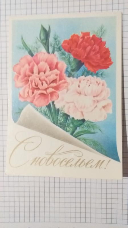 Листівка вінтаж 1981 — ціна 6 грн у каталозі Листівки і конверти Купити товари для дому та