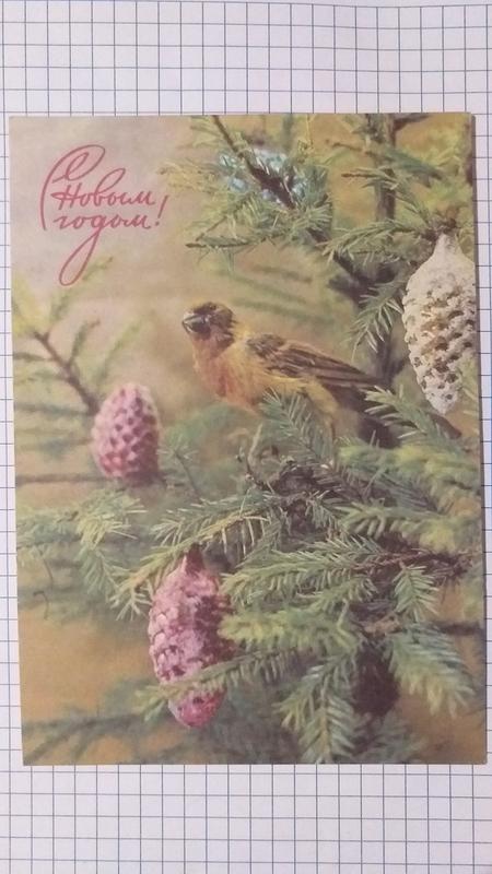 Листівка вінтаж 1971 — ціна 5 грн у каталозі Листівки і конверти Купити товари для дому та