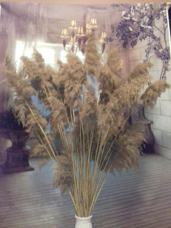 Набор сухоцветов тростник — цена 799 грн в каталоге Искусственные цветы Купить товары для дома и