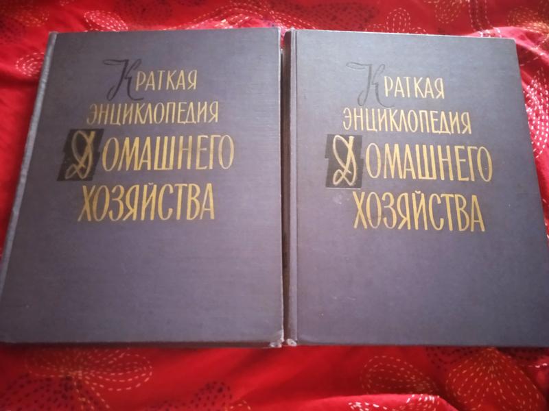 Коротка енциклопедія домашнього господарства 1959 р — ціна 250 грн у каталозі Дім та хоббі