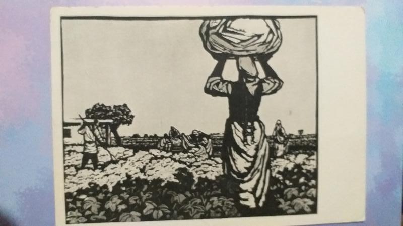 Листівка 1965 — ціна 5 грн у каталозі Листівки і конверти Купити товари для дому та побуту за