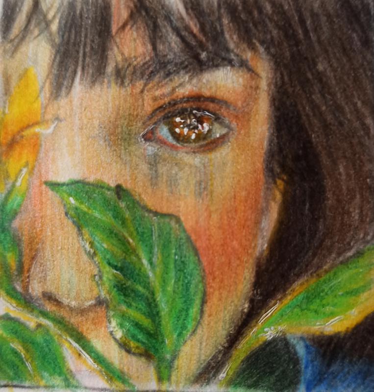 Портрет олівцями олівцем — ціна 200 грн у каталозі Картини Купити