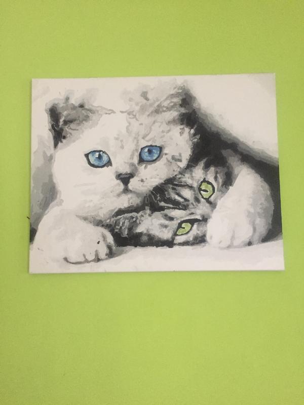 Картина намальована за номерами — ціна 1550 грн у каталозі Картини Купити товари для дому та