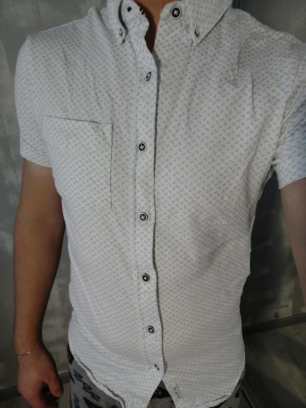 Сорочка — цена 150 грн в каталоге Рубашки Купить мужские вещи по доступной цене на Шафе