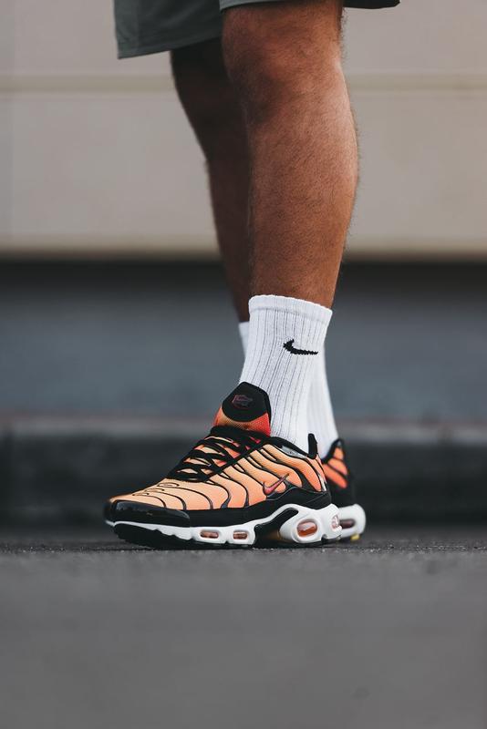 Кросівки чоловічі nike air max tn plus/кроссовки мужские найк аир макс ...