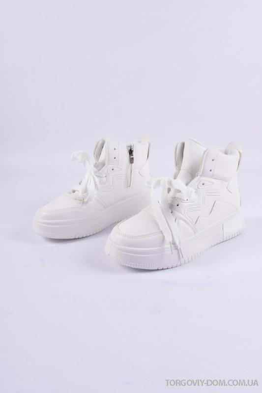 Кросовки на меху — ціна 1200 грн у каталозі Кросівки Купити жіночі речі за доступною ціною на