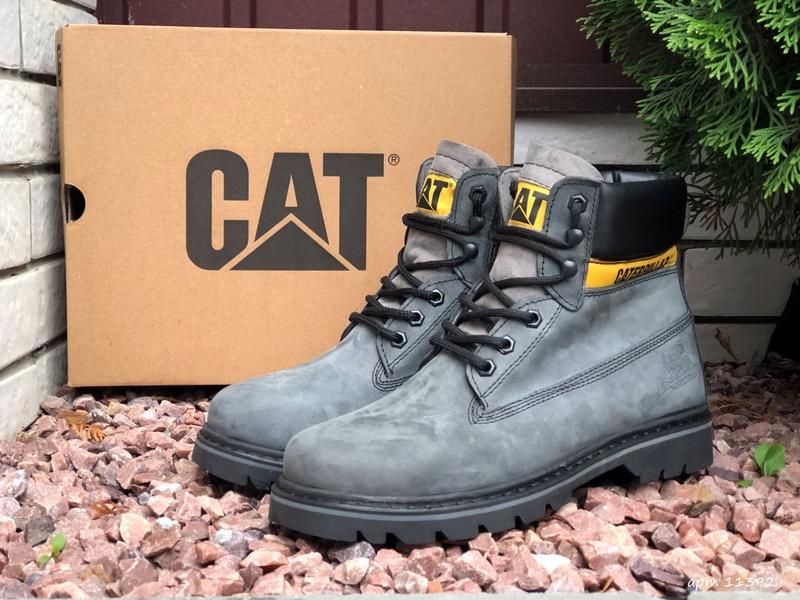 Зимові черевики Cat Caterpillar — цена 2390 грн в каталоге Ботинки Купить мужские вещи по