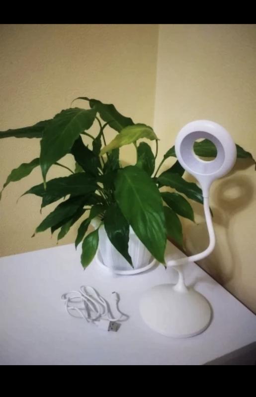 Лампа акумуляторна — ціна 400 грн у каталозі Настільні лампи Купити товари для дому та побуту за