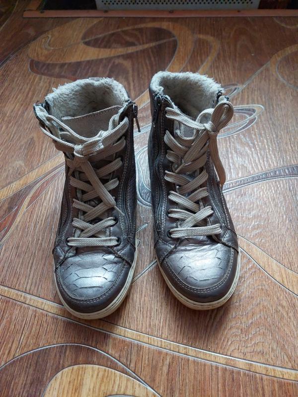 Конверси — цена 336 грн в каталоге Кроссовки Купить женские вещи по доступной цене на Шафе