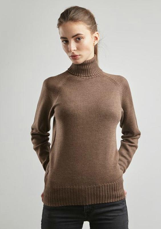 Приємний гольф — ціна 99 грн у каталозі Светри Купити жіночі речі за доступною ціною на Шафі