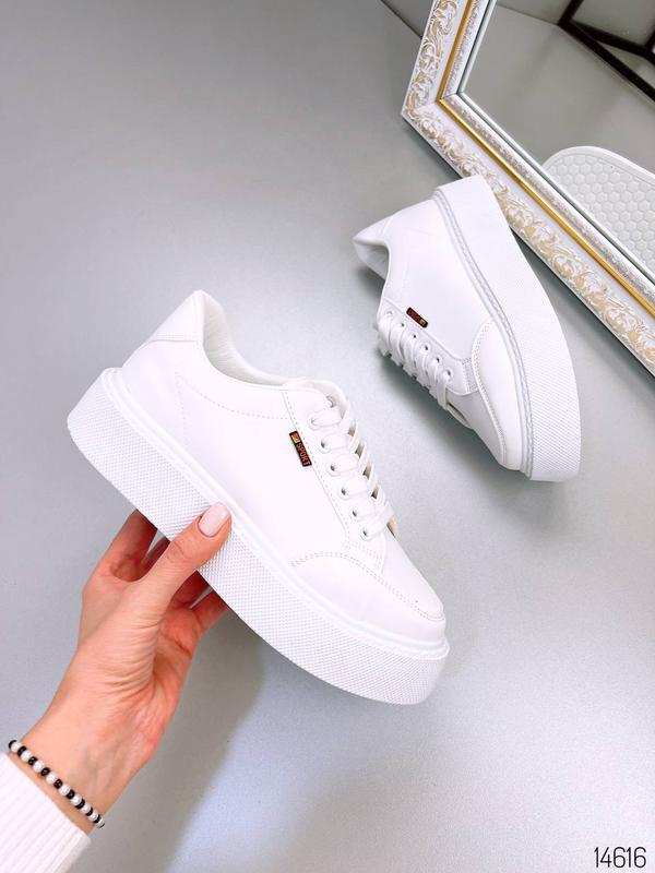 Кеды — ціна 1400 грн у каталозі Кеди Купити жіночі речі за доступною ціною на Шафі Україна