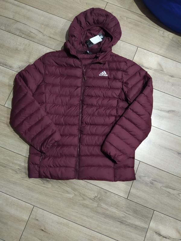 Куртка адидас — цена 800 грн в каталоге Куртки Купить мужские вещи по доступной цене на Шафе