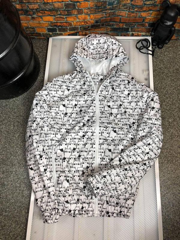 Ветровка — цена 1100 грн в каталоге Куртки Купить мужские вещи по доступной цене на Шафе