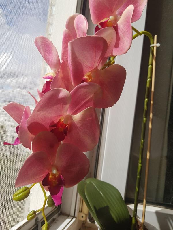 Орхідея в горщику — ціна 3200 грн у каталозі Штучні квіти Купити товари для дому та побуту за