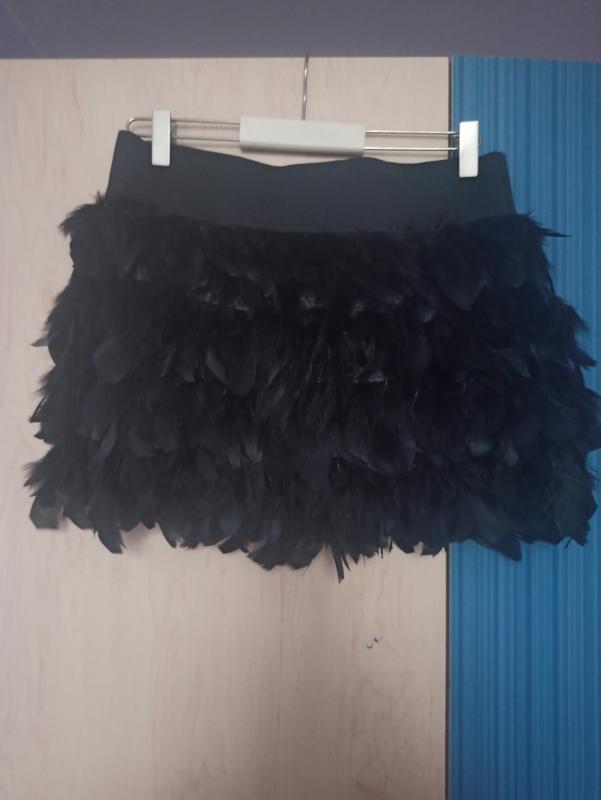 Спідниця юбка — ціна 400 грн у каталозі Міні спідниці Купити жіночі речі за доступною ціною на
