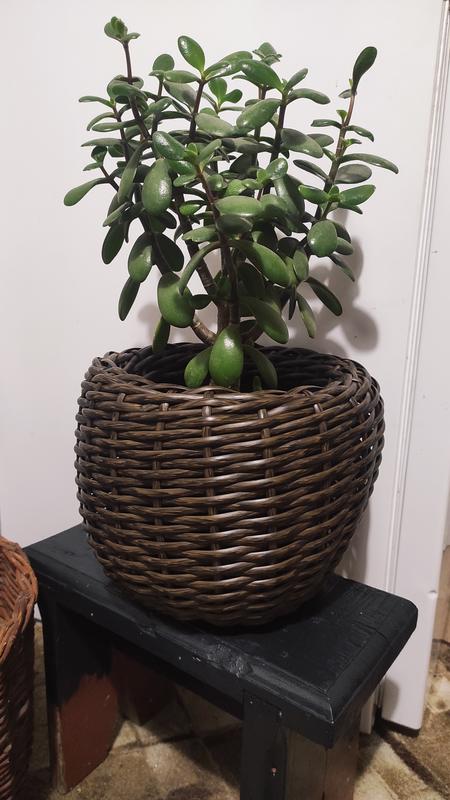 Кашпо із ротанга 5 л — ціна 225 грн у каталозі Кашпо Купити товари для дому та побуту за