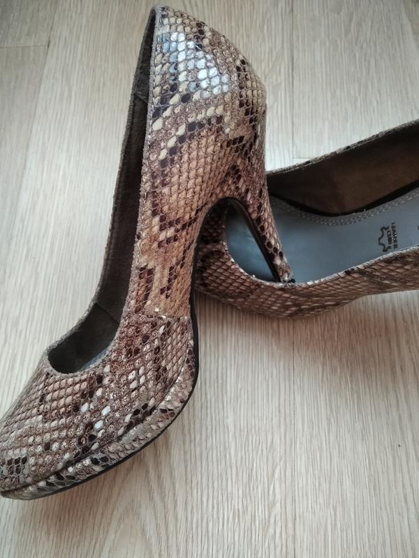 Шикарні туфлі шкіра змія — ціна 450 грн у каталозі Туфлі Купити жіночі речі за доступною ціною
