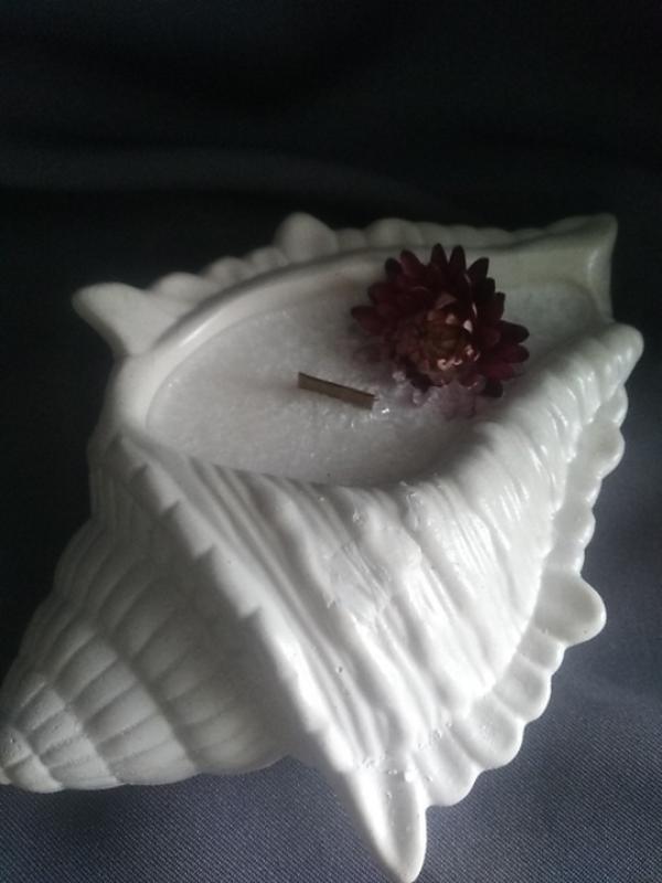 Свічка в великій мушлі — цена 70 грн в каталоге Свечи Купить товары для дома и быта по доступной