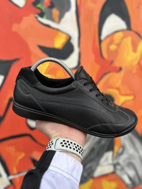 Ecco 39 store