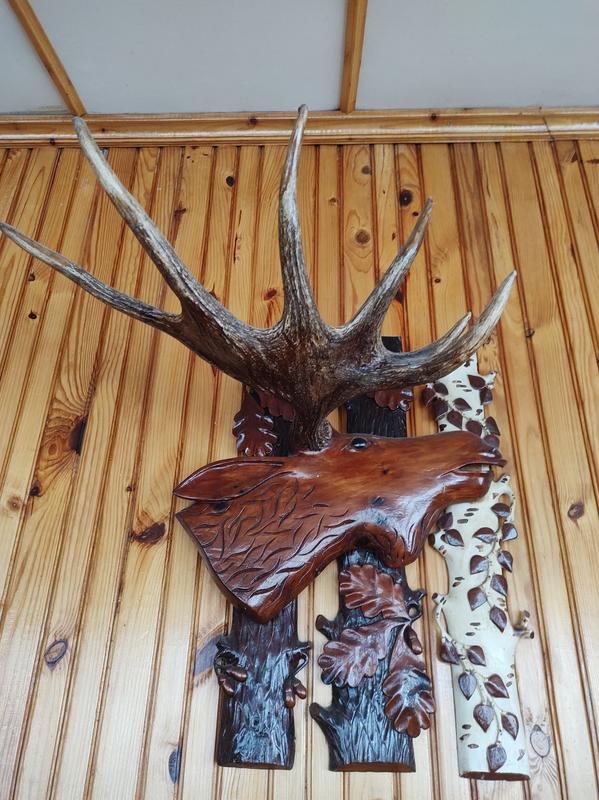 Роги лося — цена 10000 грн в каталоге Настенный декор Купить товары для дома и быта по доступной