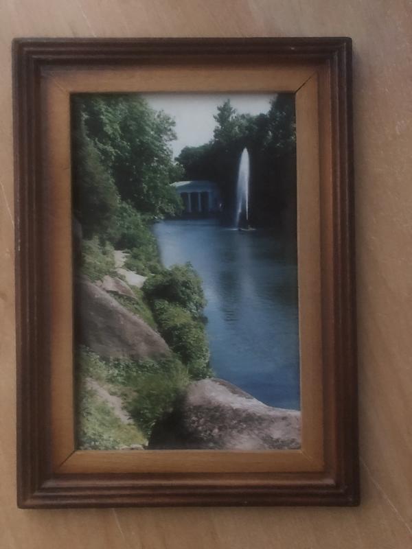 Фото парка софиевая — цена 400 грн в каталоге Настенный декор Купить товары для дома и быта по