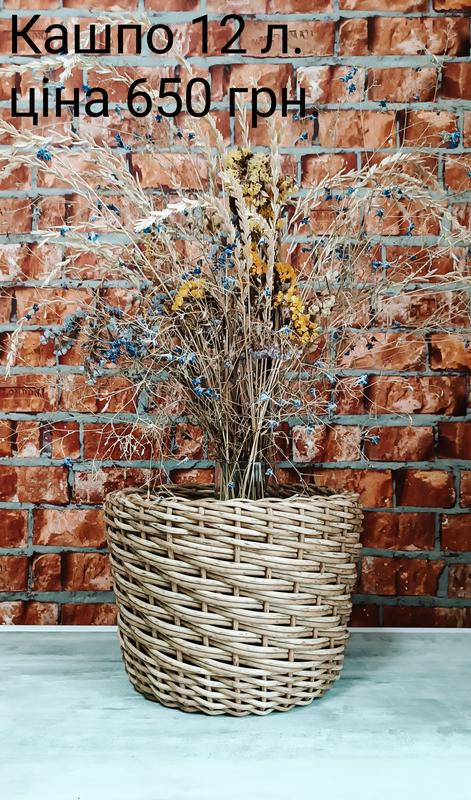 Кашпо — ціна 350 грн у каталозі Кашпо Купити товари для дому та побуту за доступною ціною на