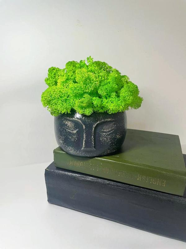 Кашпо — ціна 250 грн у каталозі Кашпо Купити товари для дому та побуту за доступною ціною на